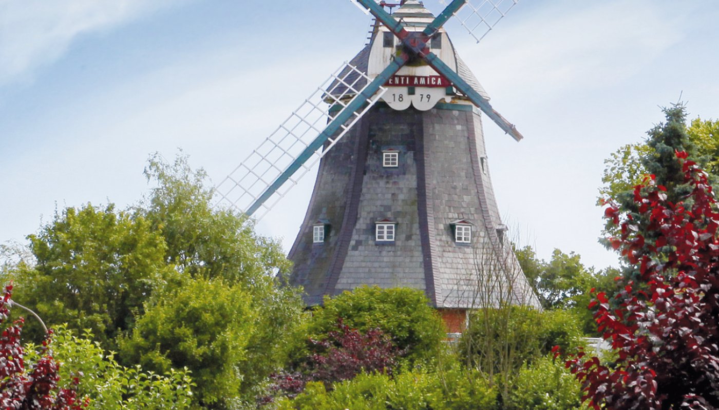 Gute Reise Hauck - Friesische Inselträume - 6 Tage